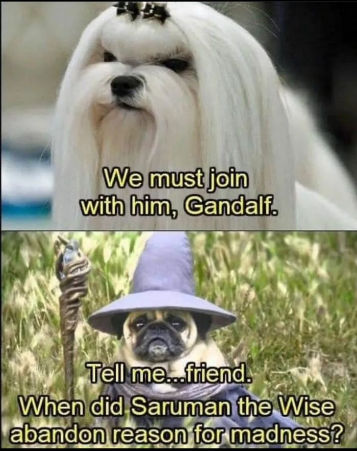 The Dogs of The Rings... - 9GAG