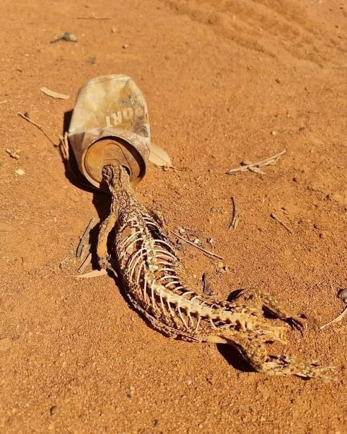 The LAST option - 9GAG