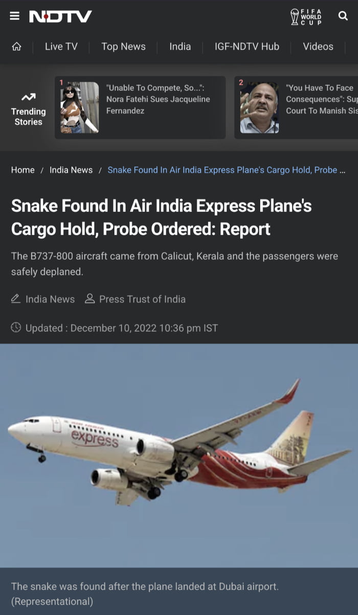 Motherf**king snakes on a motherf**king plane. - 9GAG