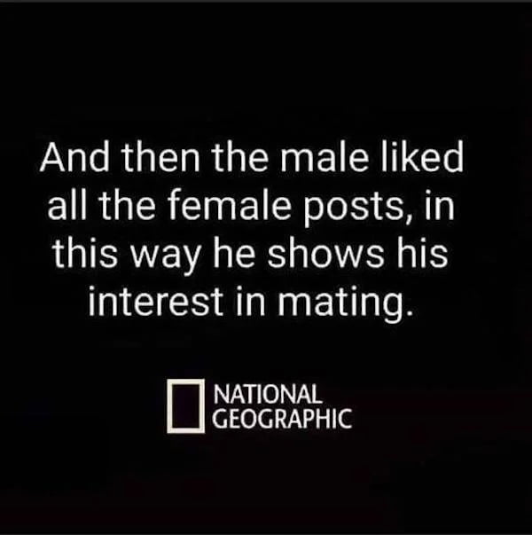 The simp evolution - 9GAG