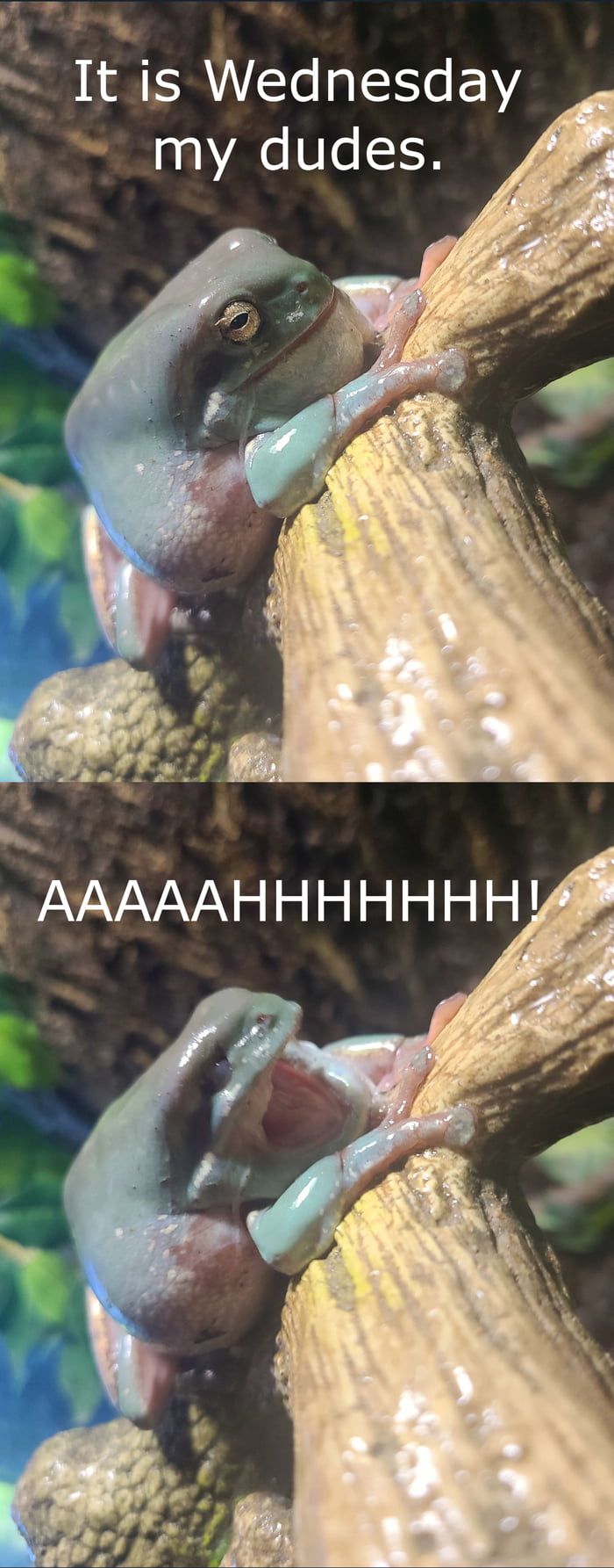 Wednesday - 9GAG