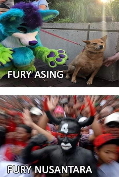 2024 banyak fury nih - 9GAG