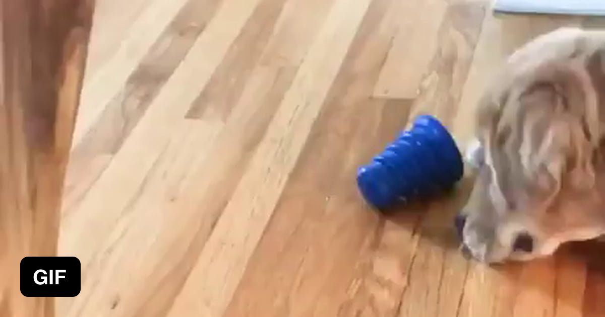 We all have lazy days... - 9GAG