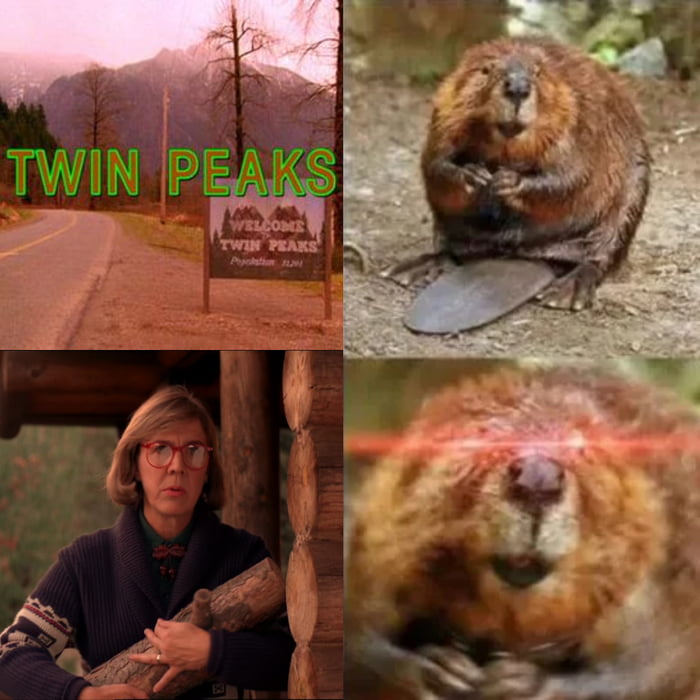 Bober intensifies - 9GAG