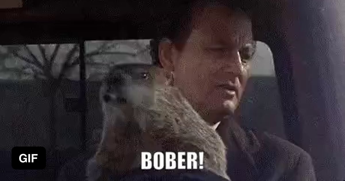 Bober Day my dudes - 9GAG