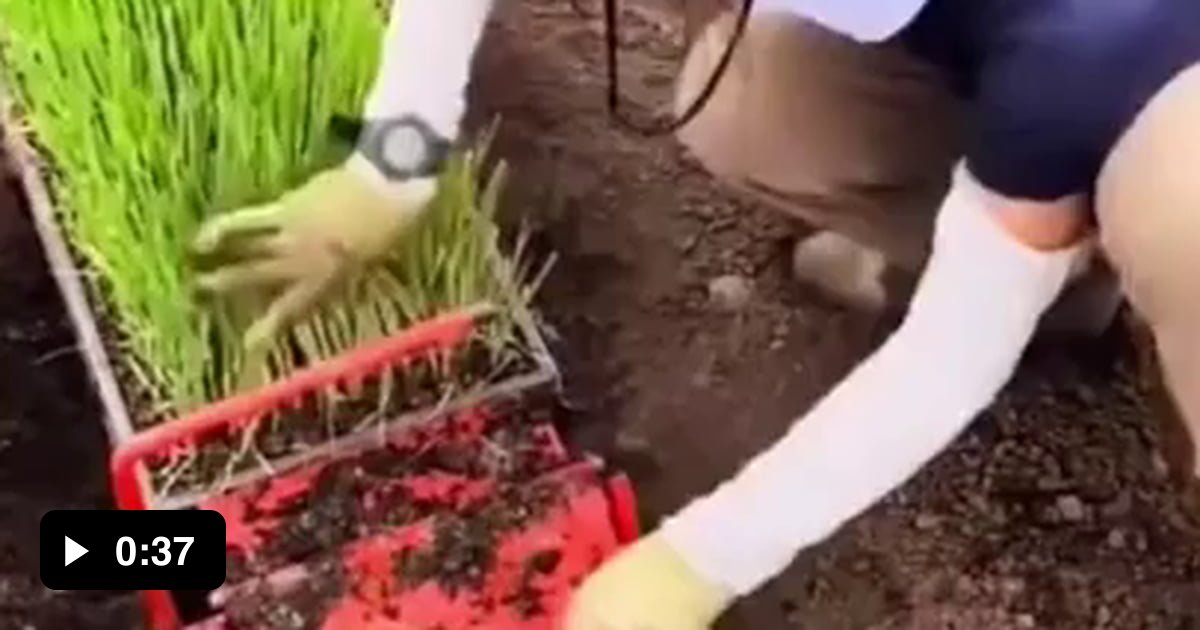 Fast and easy farming - 9GAG