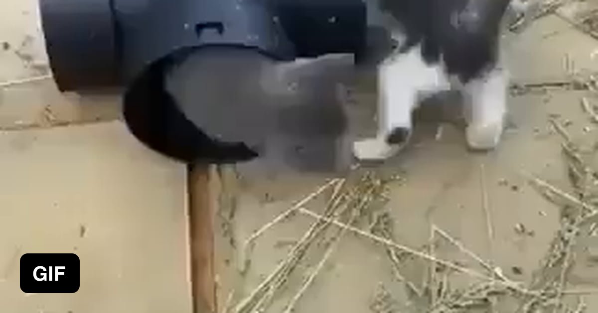 Infinite loop - 9GAG