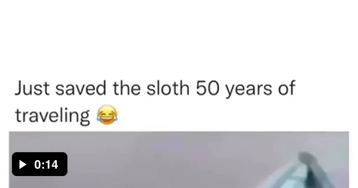 This sloth is having a whale of a time - 9GAG