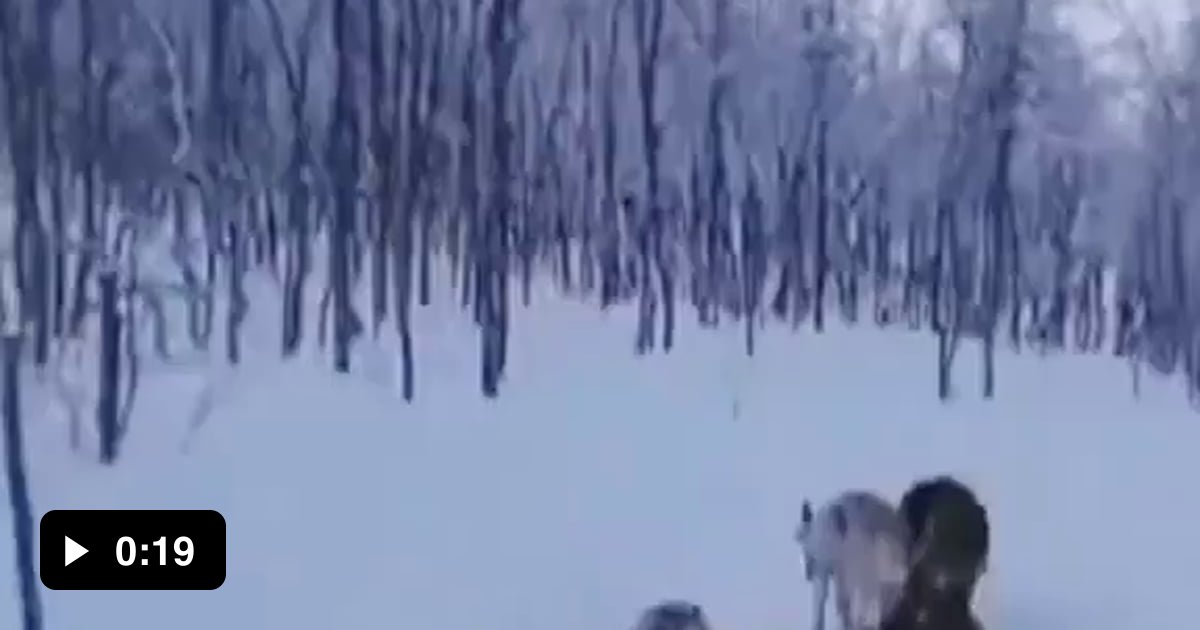 Damn it moon moon - 9GAG