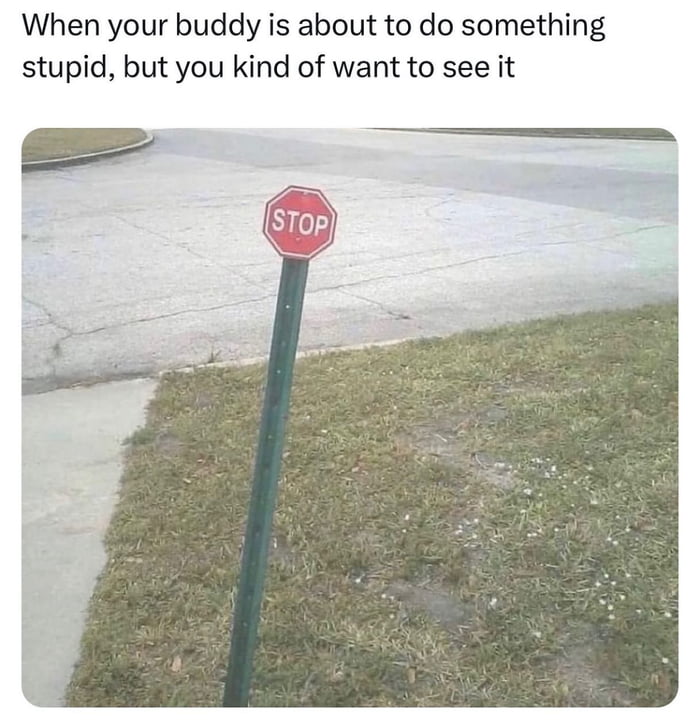 Do it. Do it now. - 9GAG