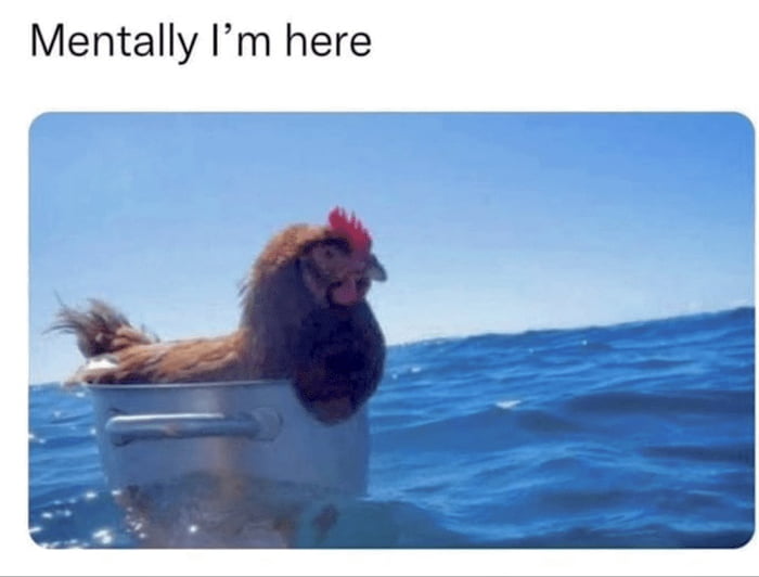 Clarification - I'm not a chicken! - 9GAG