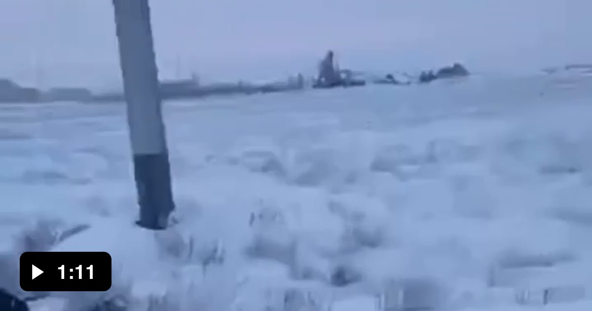 -70C in Yakutsk. Animals are frozen on their way to find shelter - 9GAG