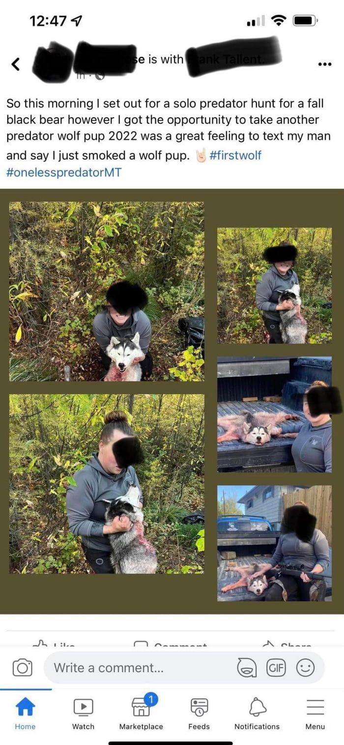 This woman thinking the dog she killed was a wolf. - 9GAG