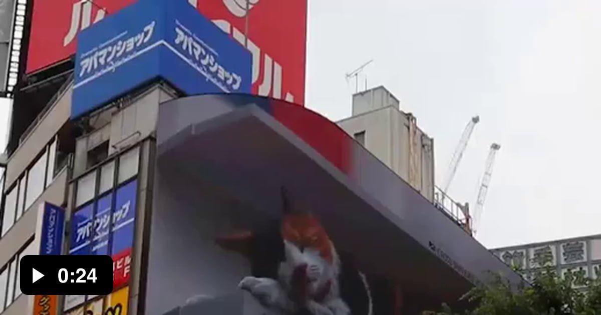 This 3D-cat on a giant 4k led display in Tokyo - 9GAG