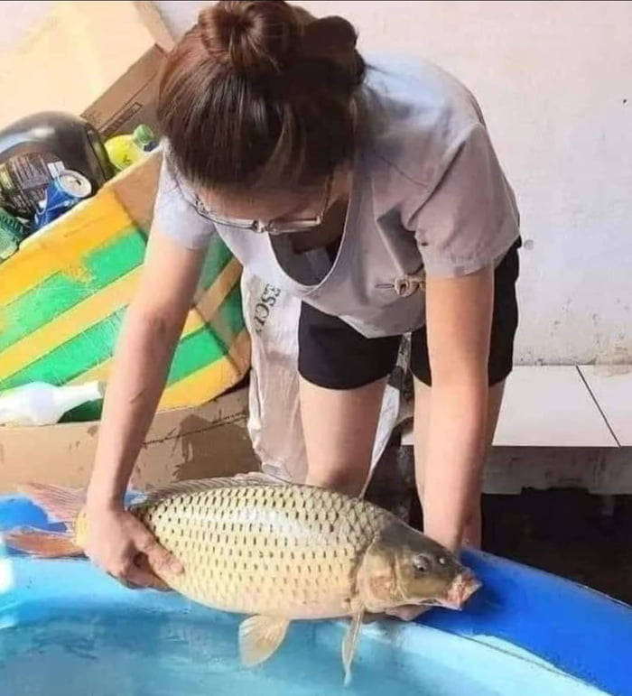 Some big fish - 9GAG