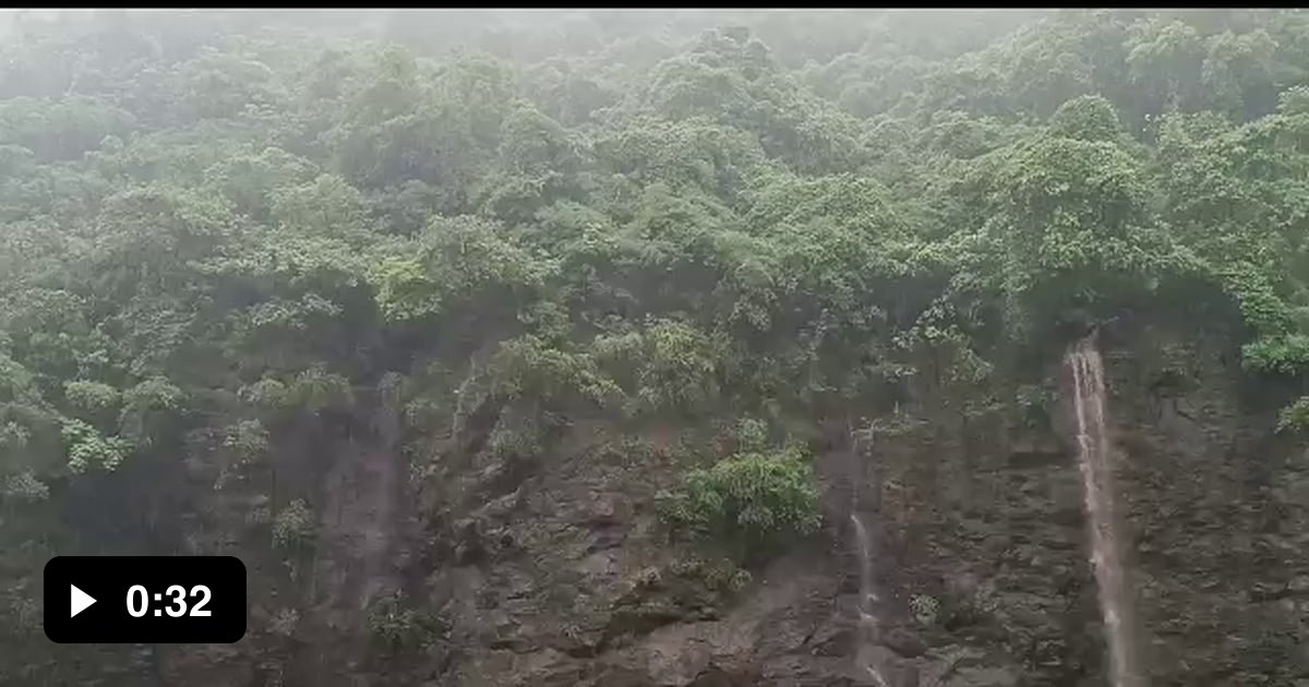 Monsoon glory right outside the office! - 9GAG