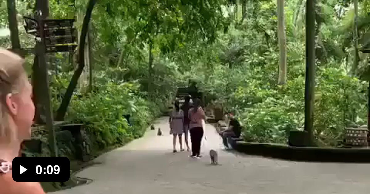 Girl tries to fool a monkey - 9GAG
