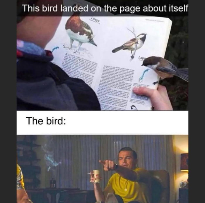 Wait a second… - 9GAG