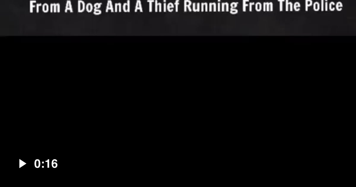 Whoa, so many actions going on....!!!! - 9GAG