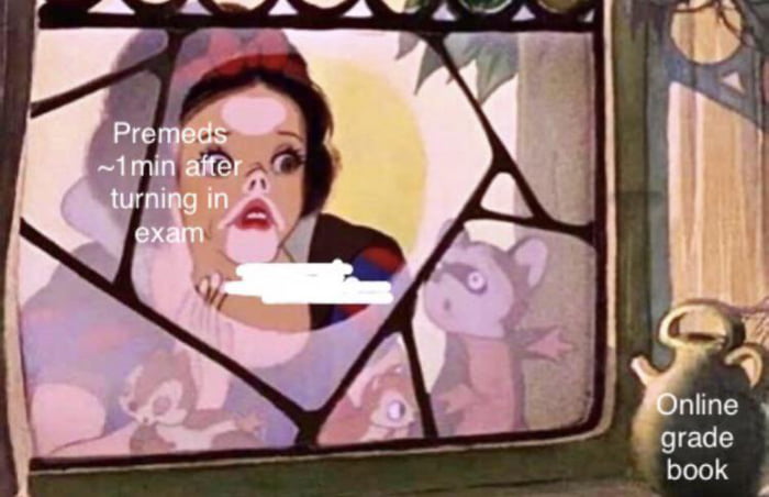 Premeds, amiright - 9GAG