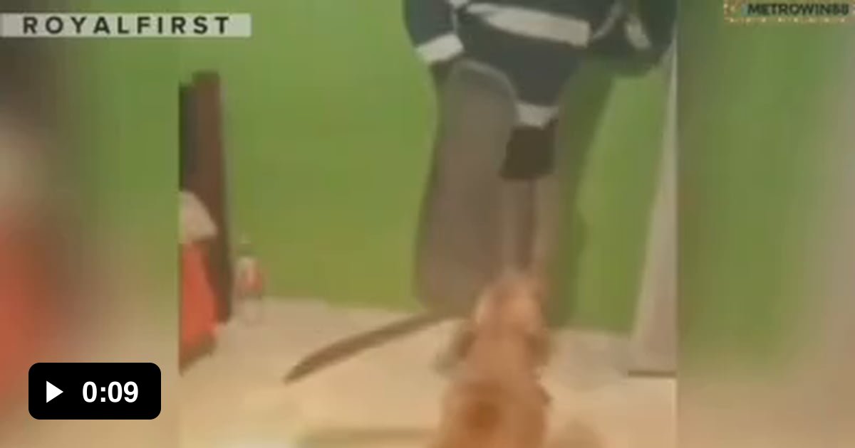 "relax, he doesn't bite." - 9GAG