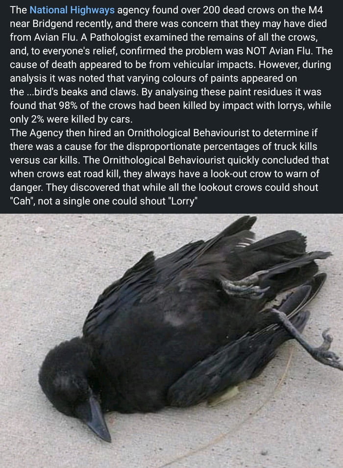 Murder Murder Mystery - 9GAG