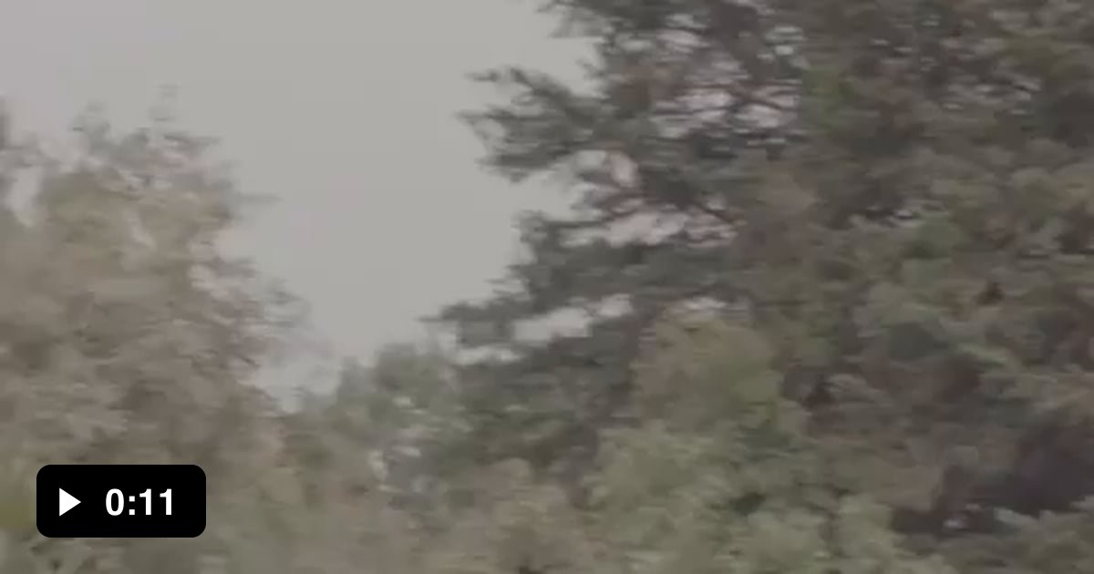 Richard Fert lands a triple backflip on dirt hill - 9GAG