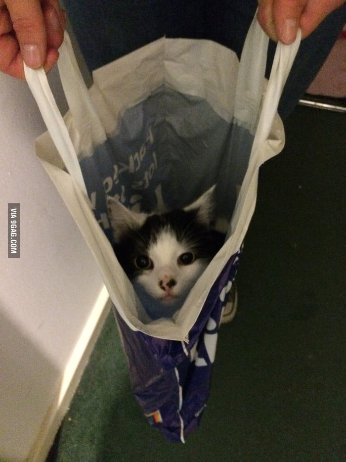 "Unexpected item in bagging area" ... - 9GAG