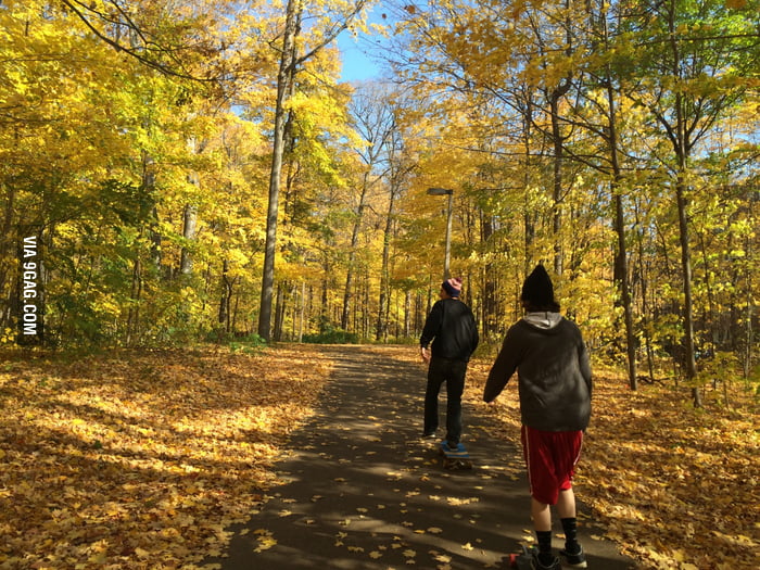 Fall here at Michigan State University - 9GAG