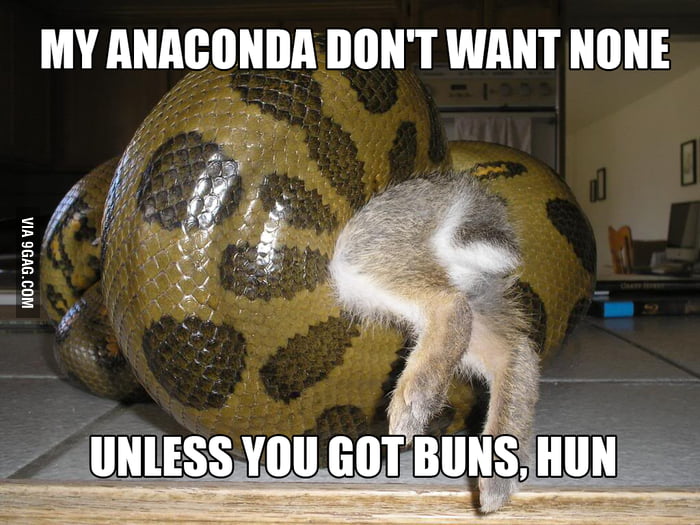 Anaconda Snake Memes