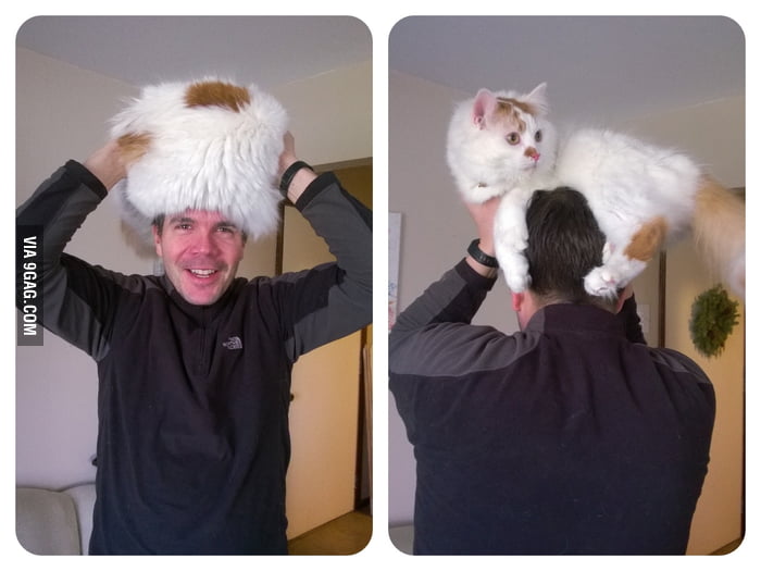 Cat hat - 9GAG