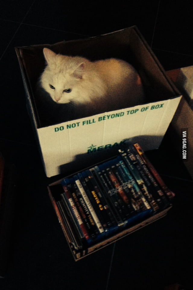 Pure anarchy - 9GAG