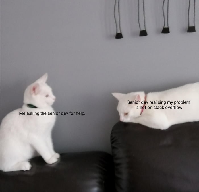 Why does stack overflow hate me - 9GAG