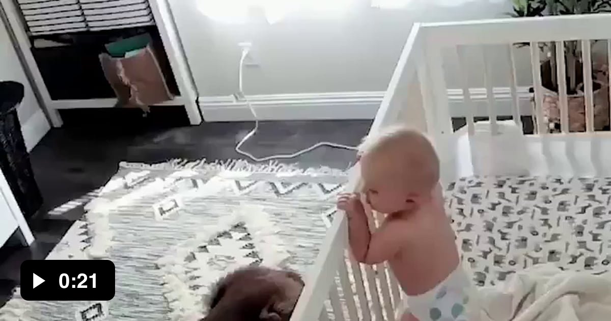 Doggo calms a crying baby - 9GAG