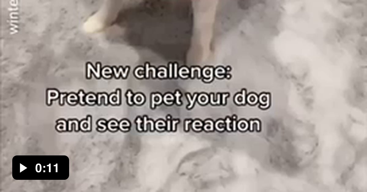 Stop and wait a minute - 9GAG