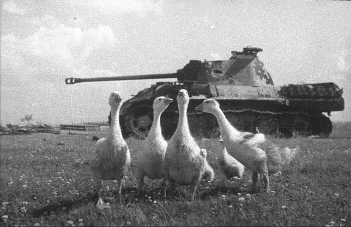 Goose army men pose for a photograph after taking out a German panzer ...