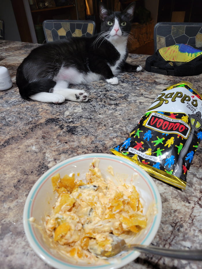 Normalize eating chips and dip like cereal. Don't tell mom the cat was ...