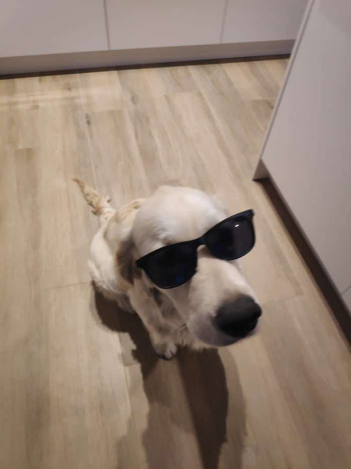 What's updog? - 9GAG