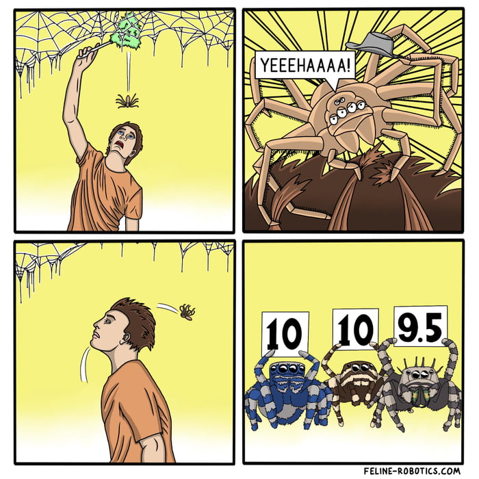The ol’ eight-legged rodeo - 9GAG