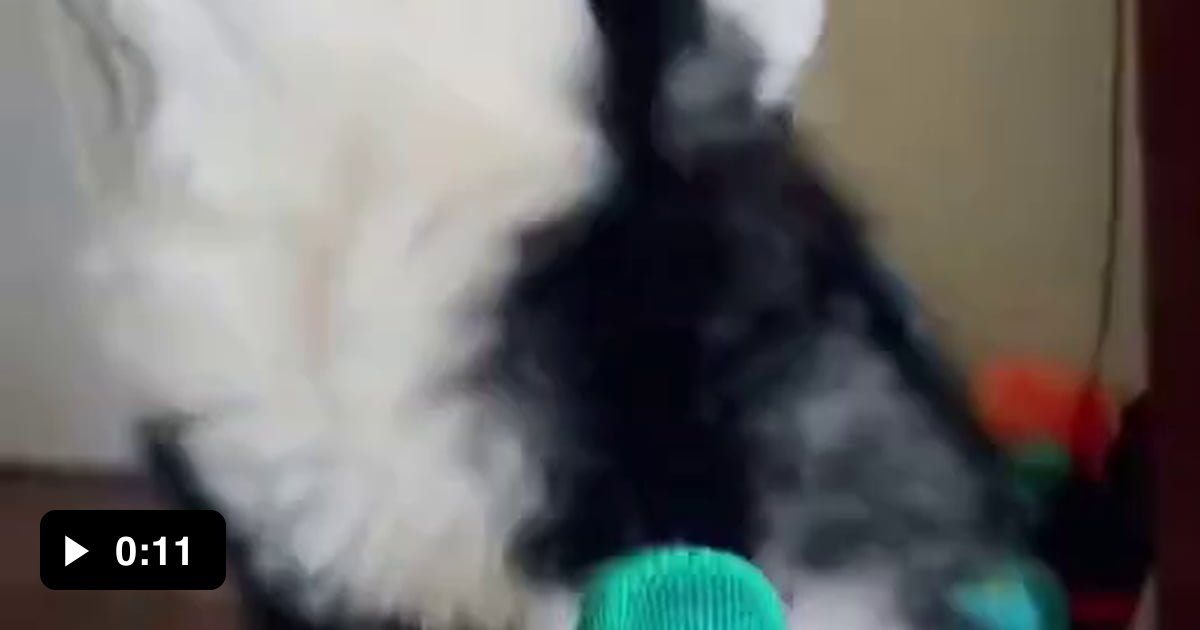 Talent 9gag