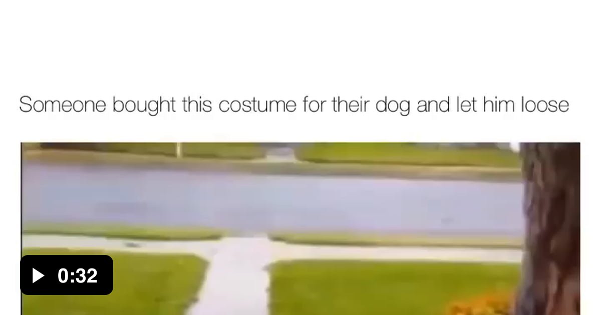 How would you react? - 9GAG