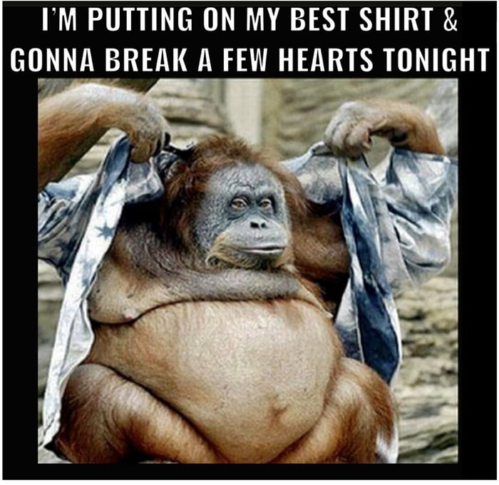 Friday frolics - 9GAG