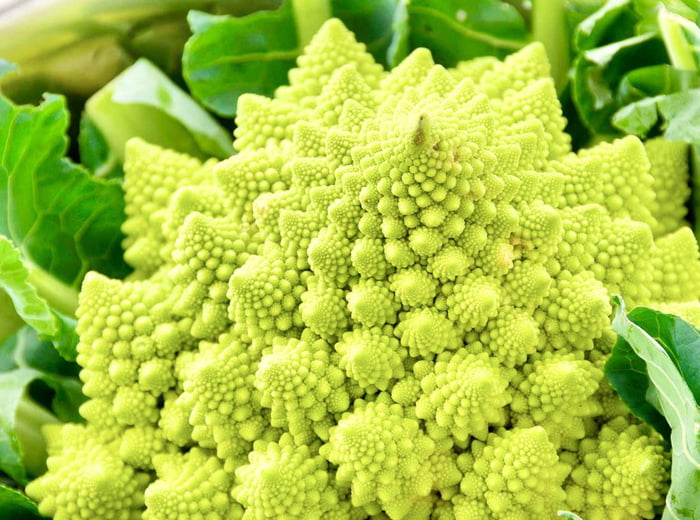 This is probably one of the most interesting looking vegetables, with ...