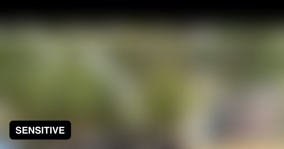 Randomized ark characters be like: - 9GAG