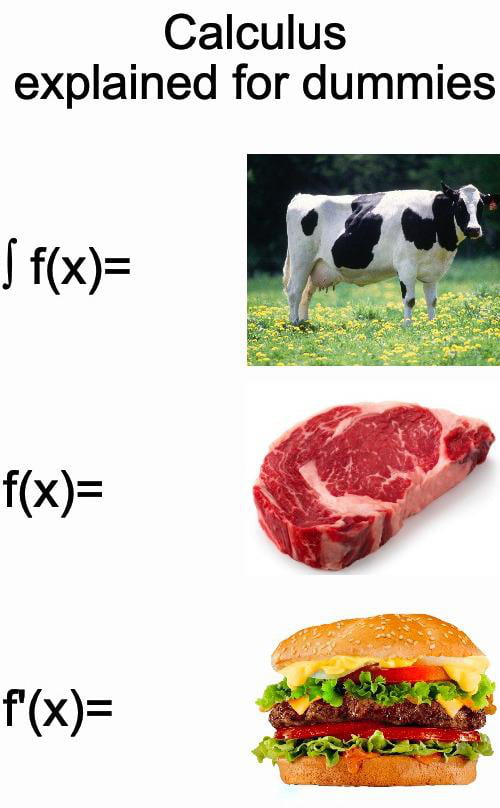 Calculus explained for dummies - 9GAG