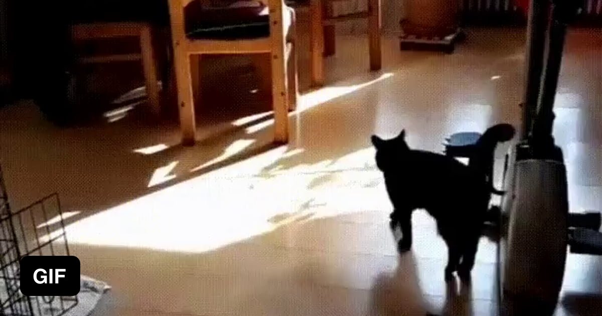 Time for a nice stretch... - 9GAG