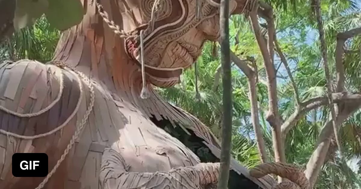 Ven A La Luz, Tulum in Mexico - 9GAG