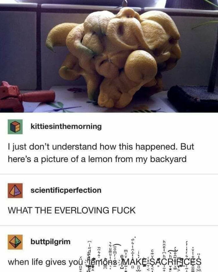 How does it's tasted tho - 9GAG