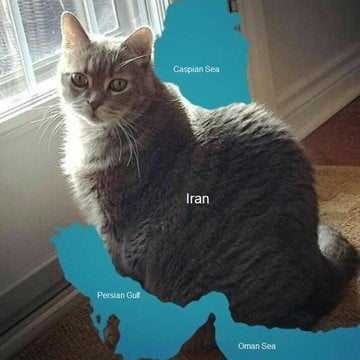 Cat map :) - 9GAG