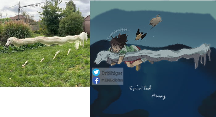 Haku and Chihiro - 9GAG